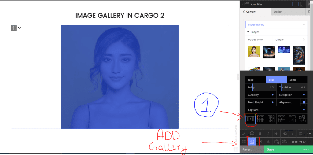 How to add image gallery in Cargo Collective Site - Cargo Site Tutorials