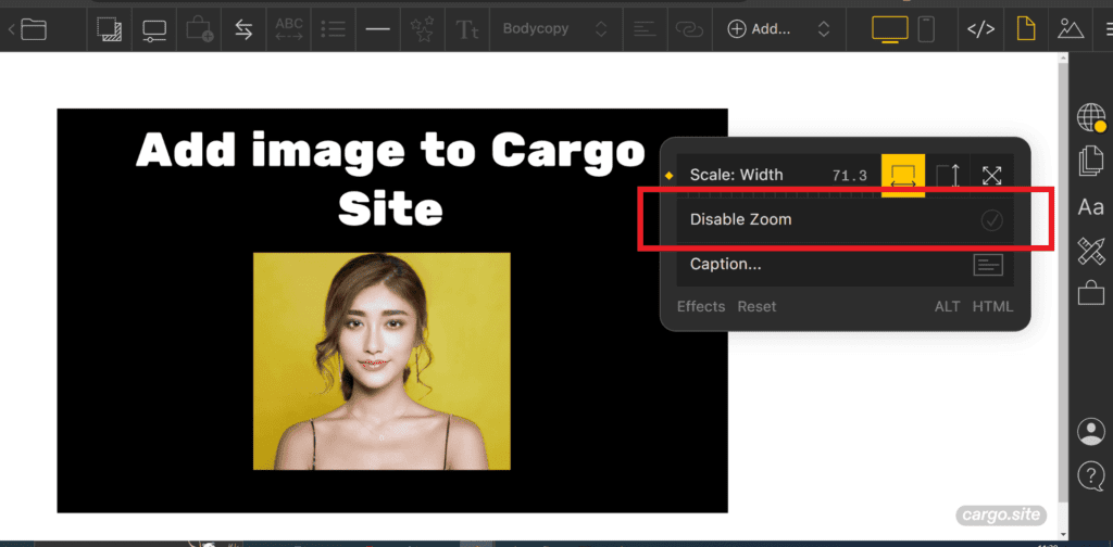 Image Effects and Settings in Cargo Site - Cargo Site Tutorials