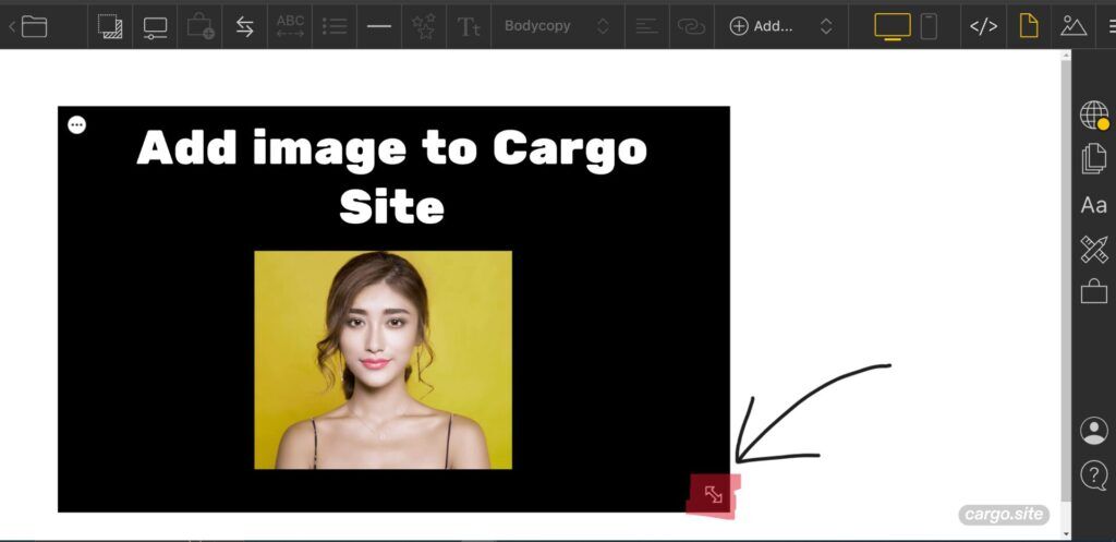Image Effects and Settings in Cargo Site - Cargo Site Tutorials